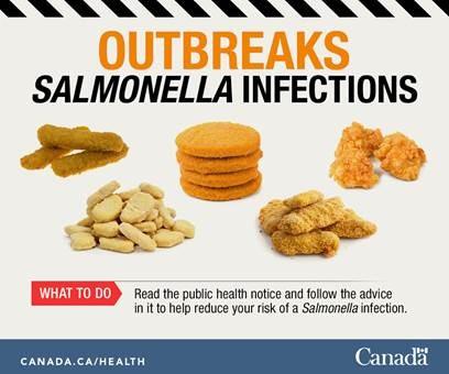 Salmonella-infections – Centre « Wellness